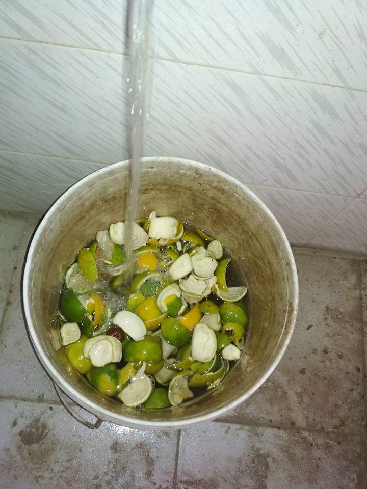 Liquid manure for coming season plants – Indraprastha Horticulture Society