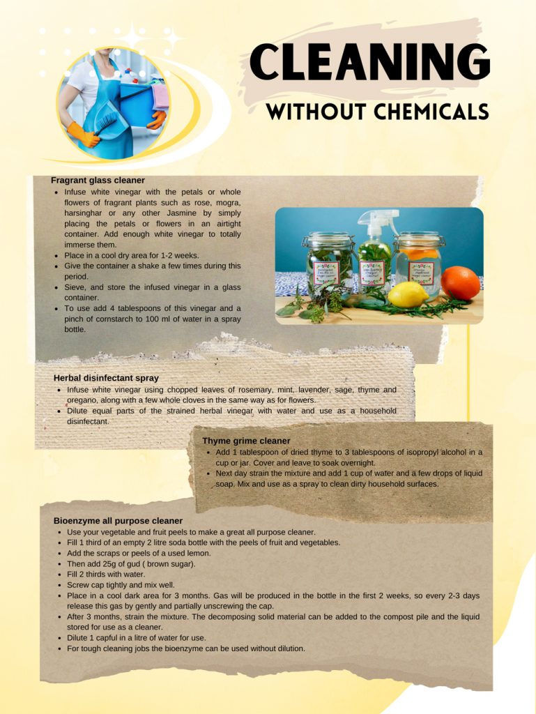 Cleaning without Chemicals – Indraprastha Horticulture Society