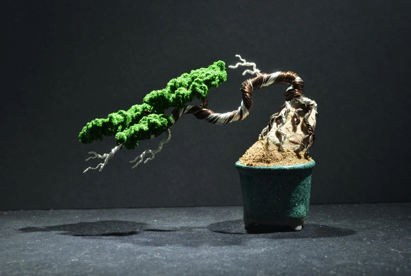 Imitating Nature : The Root over Rock Style Bonsai – Indraprastha ...